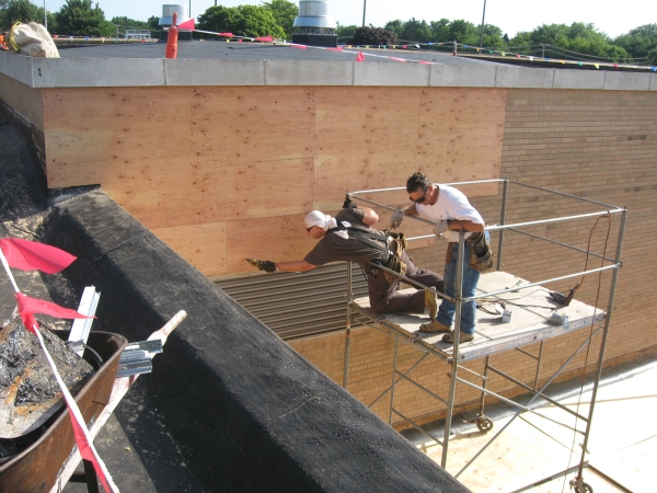 Fall Protection Safety From Scaffold | TC Risk Management Services ...